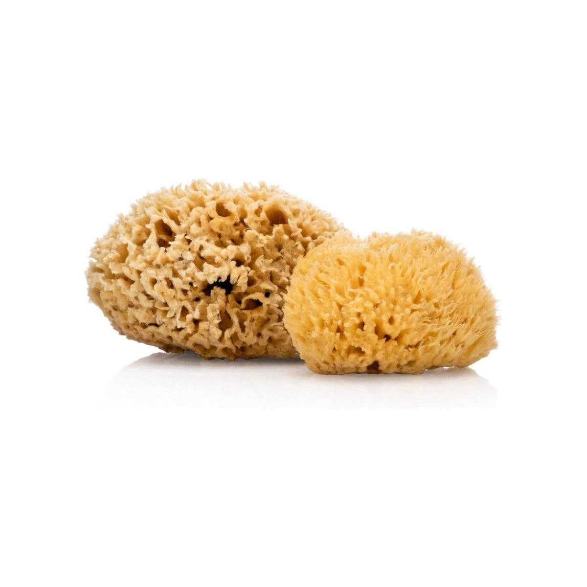 Natural Plastic-Free Organic Wool Sea Sponge – Texture + Tuft