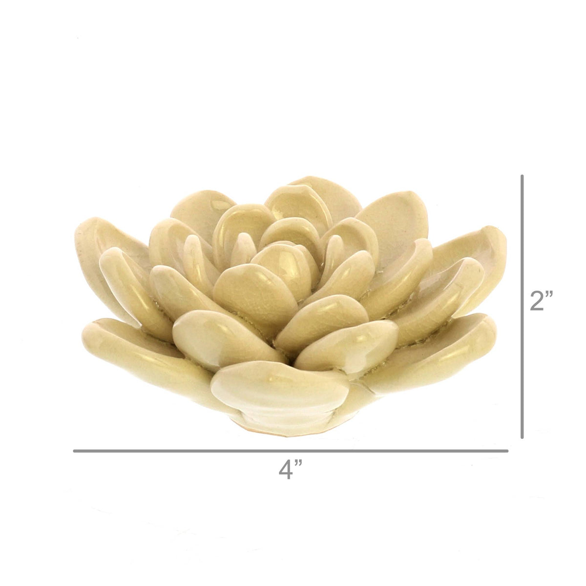 Cream Ceramic Succulent – Texture + Tuft